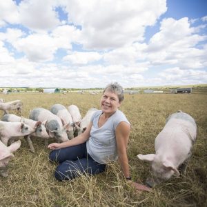 Organic Farm & Food, Wiltshire - Helen Browning's Organics